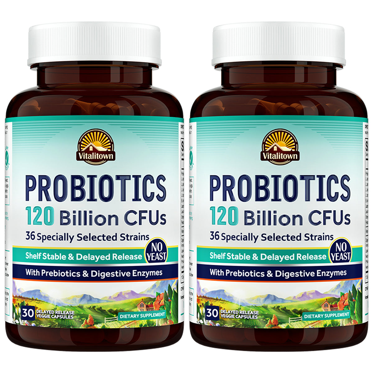 Probiotics 120 Billion CFUs 2 Pack – Vitalitown